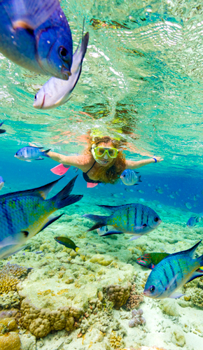 Things to See & Do | Official Hamilton Island Holiday Homes