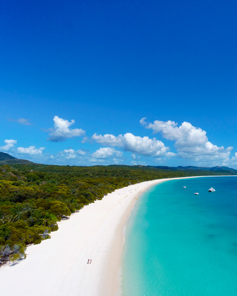 Activities & Things To Do| Hamilton Island Holiday Homes