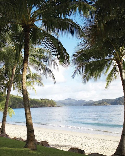 Official Hamilton Island Accommodation & Holiday Home Rentals